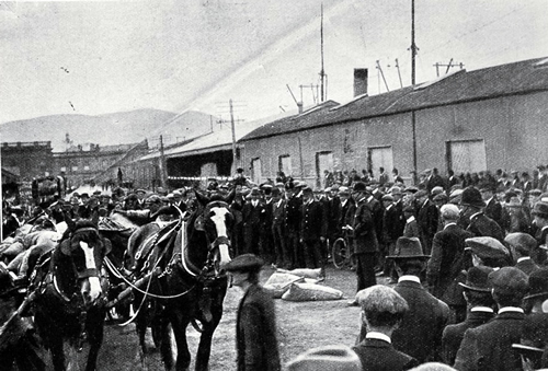 Dunedin wharf during the 1913 strike | NZHistory, New Zealand history ...