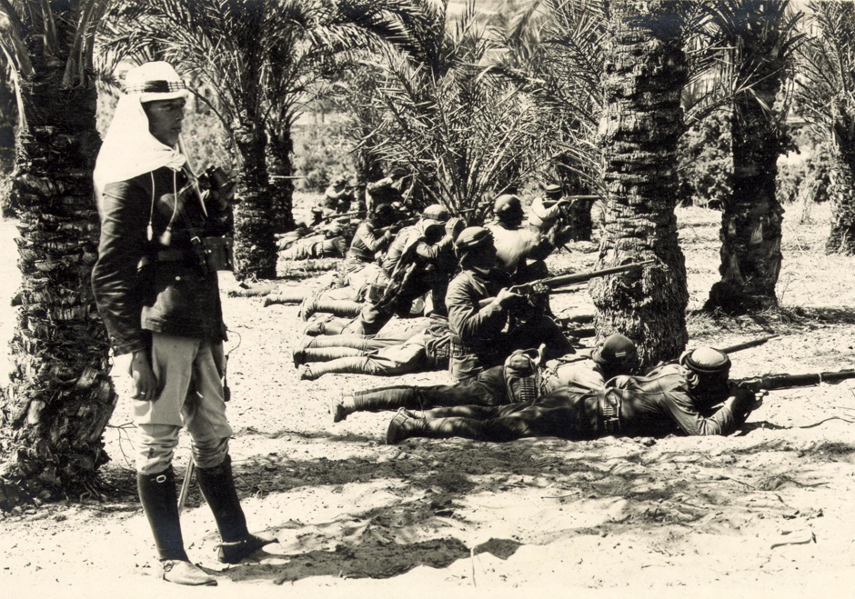 Sinai Campaign