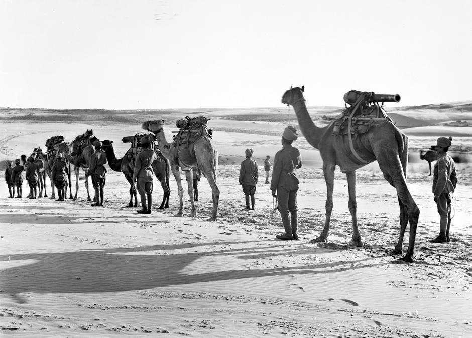 Camel artillery on the march | NZ History