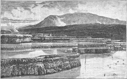 The White Terraces | NZ History